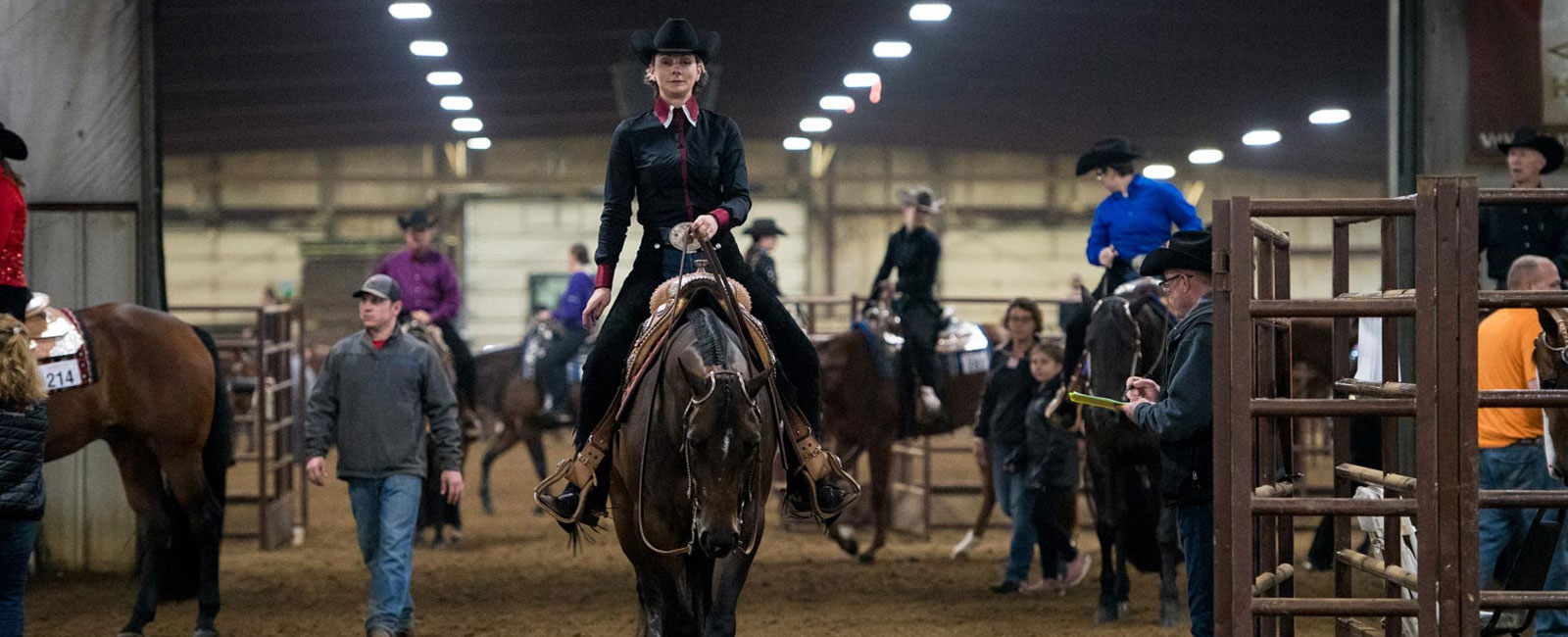 ILQHA - Illinois Quarter Horse Association