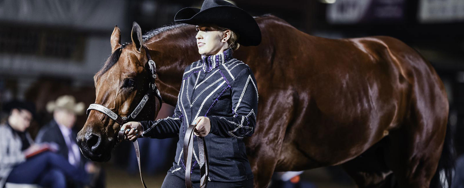 ILQHA - Illinois Quarter Horse Association