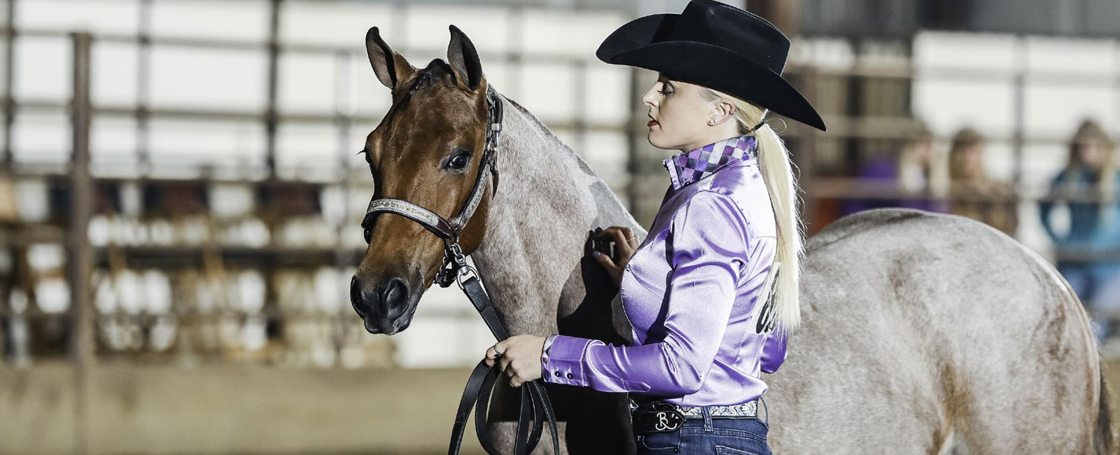 ILQHA - Illinois Quarter Horse Association