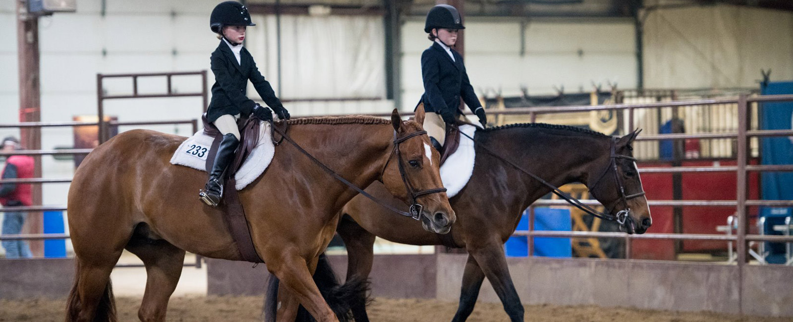 ILQHA - Illinois Quarter Horse Association