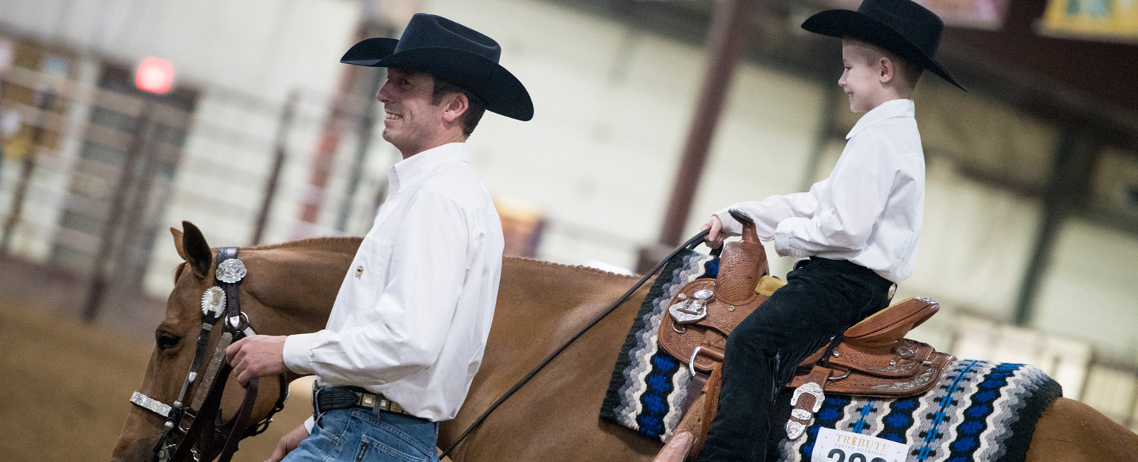 ILQHA - Illinois Quarter Horse Association