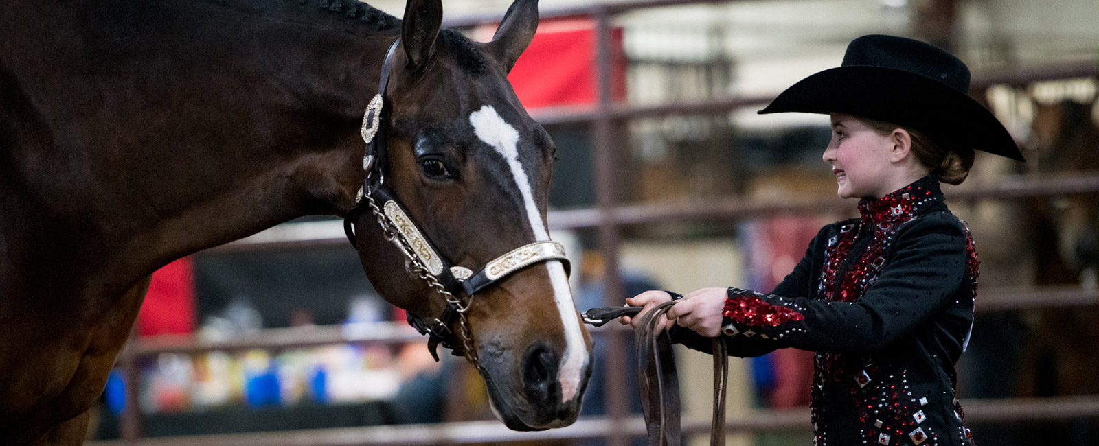 ILQHA - Illinois Quarter Horse Association