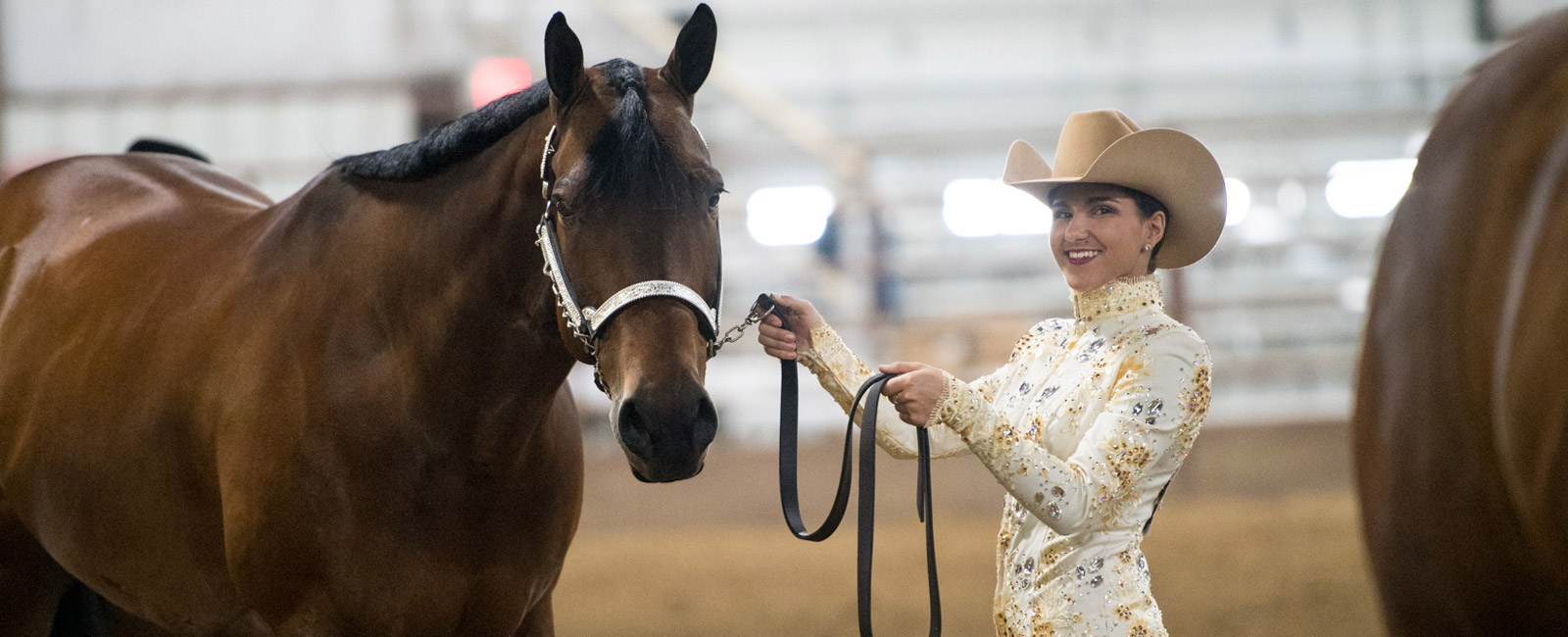 ILQHA - Illinois Quarter Horse Association